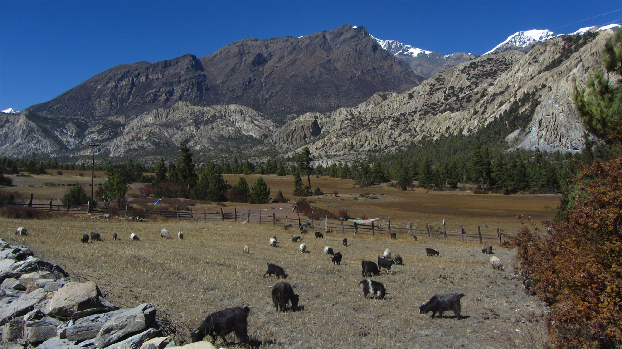 Kathmandu to Manang & Tilicho Lake Tour – 11-Day Itinerary - Debyani Tours